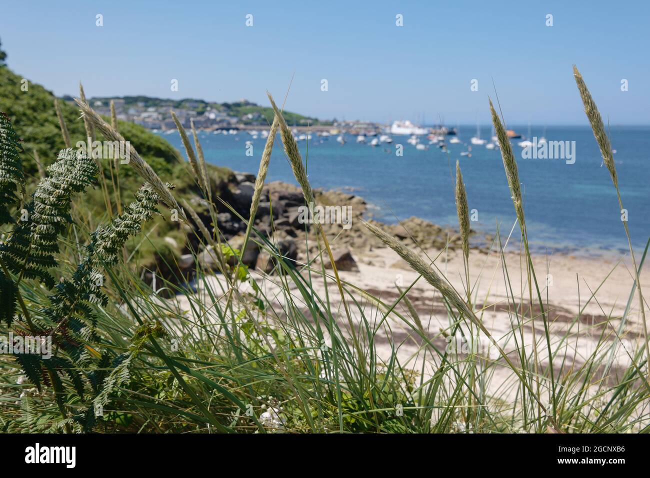 Porthmellon / Porthloo beach, St Mary's island, Isles of Scilly ...