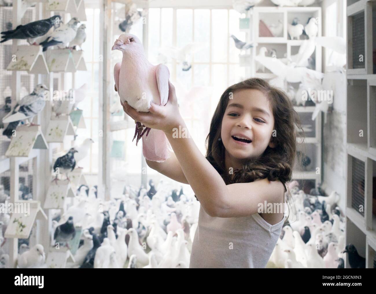 THE MACALUSO SISTERS, (aka LE SORELLE MACALUSO), Viola Pusateri, 2020 ...