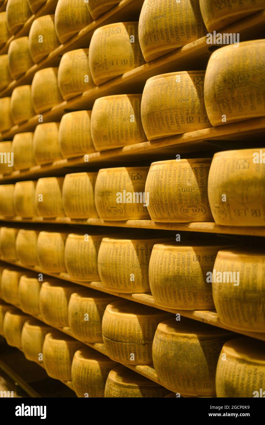 Wheels of parmesan cheese at the dairy Stock Photo - Alamy