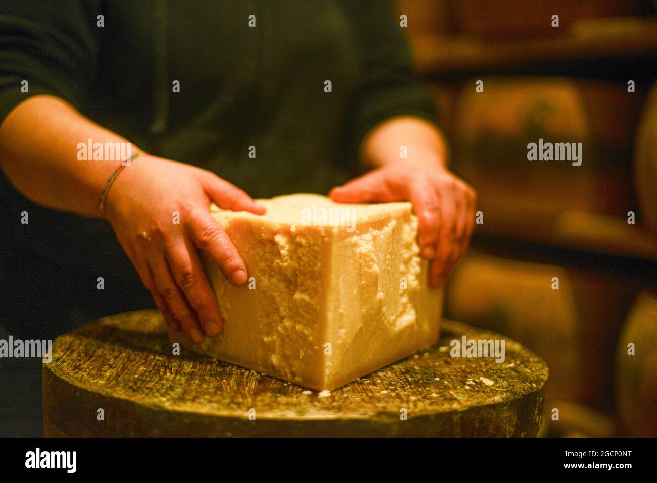 Cheese master cutting a parmesan cheese wheel at the dairy Stock Photo ...