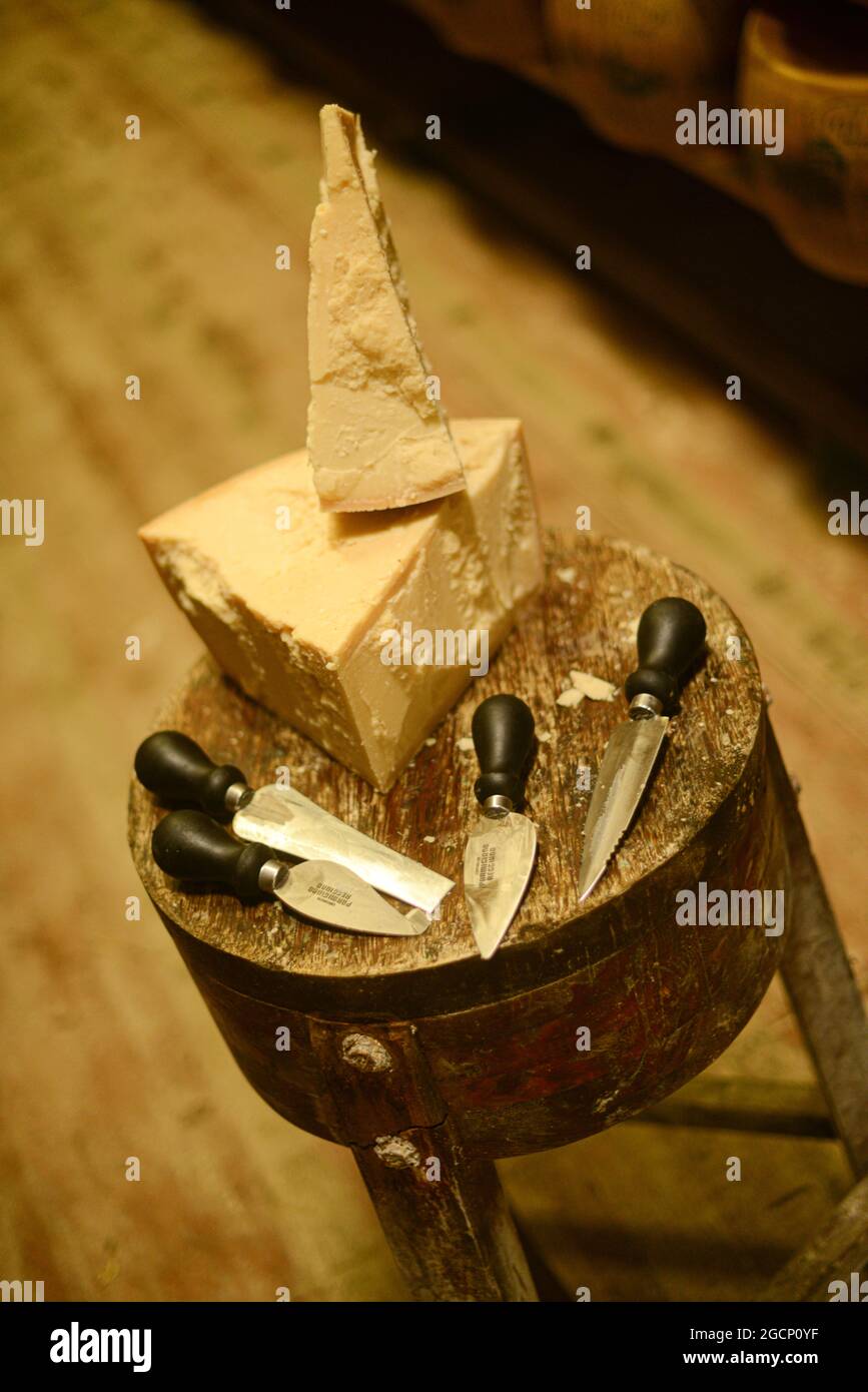 Wheel of parmesan cheese at the dairy Stock Photo - Alamy