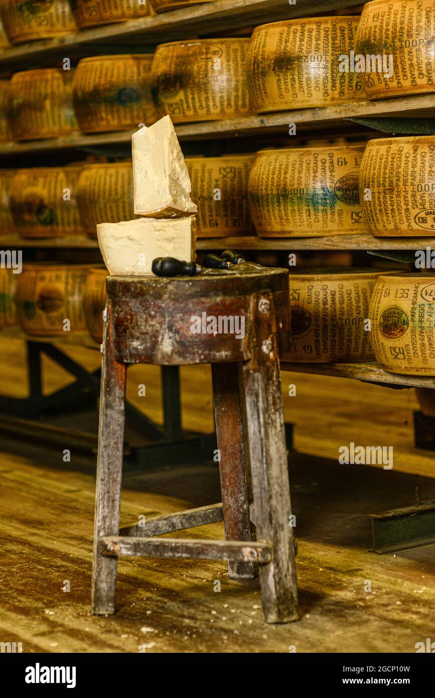 Wheel of parmesan cheese at the dairy Stock Photo - Alamy