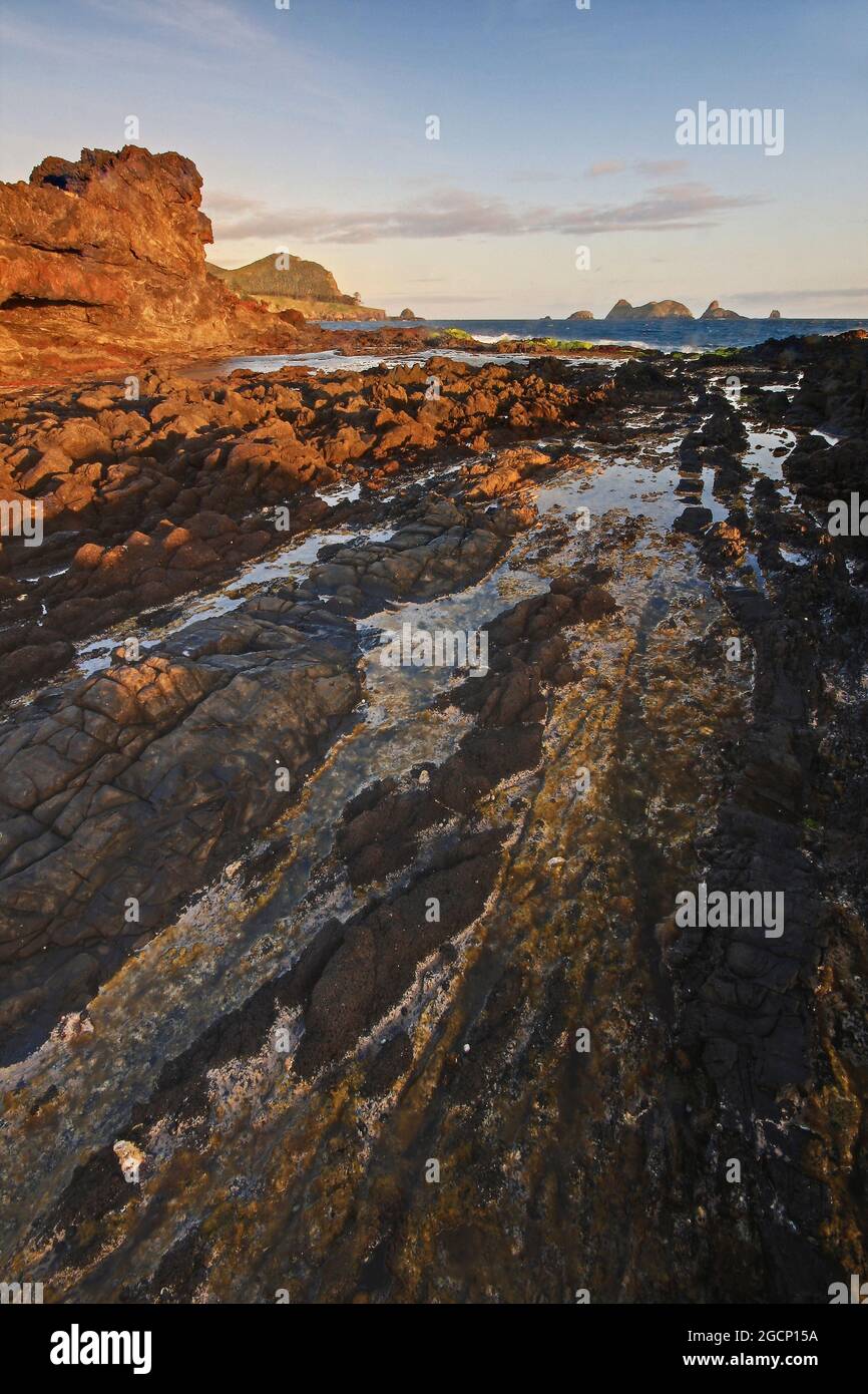 Lord howe island walking hi-res stock photography and images - Alamy