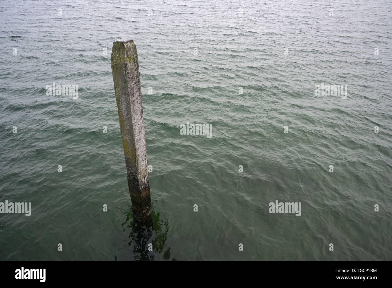 Wooden plank in the water Stock Photo - Alamy
