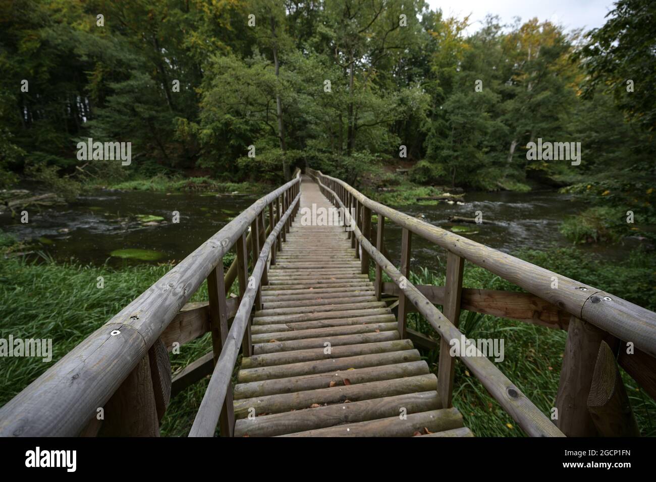 Wooden bridge over a river in the forest Stock Photo - Alamy