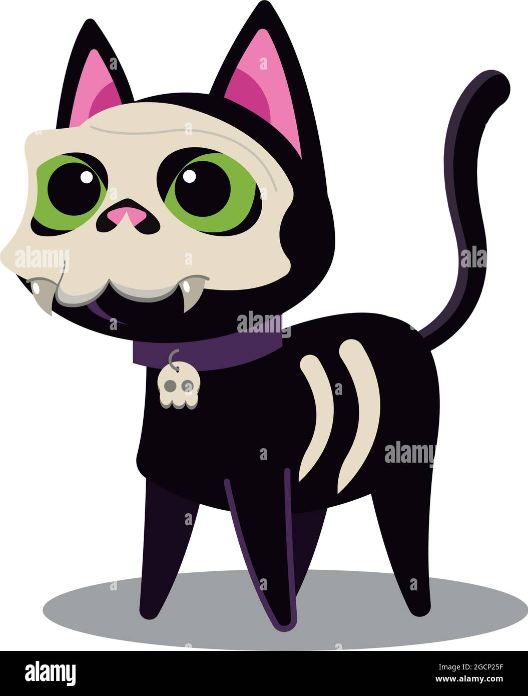 Cat skull hi-res stock photography and images - Alamy