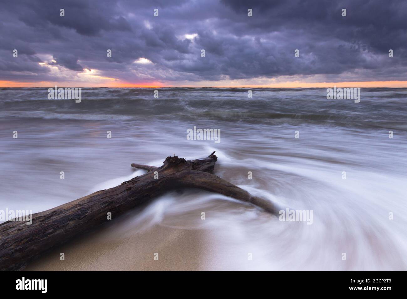 Eerie scenery of a fallen tree on the sandy beach after a thunderstorm ...