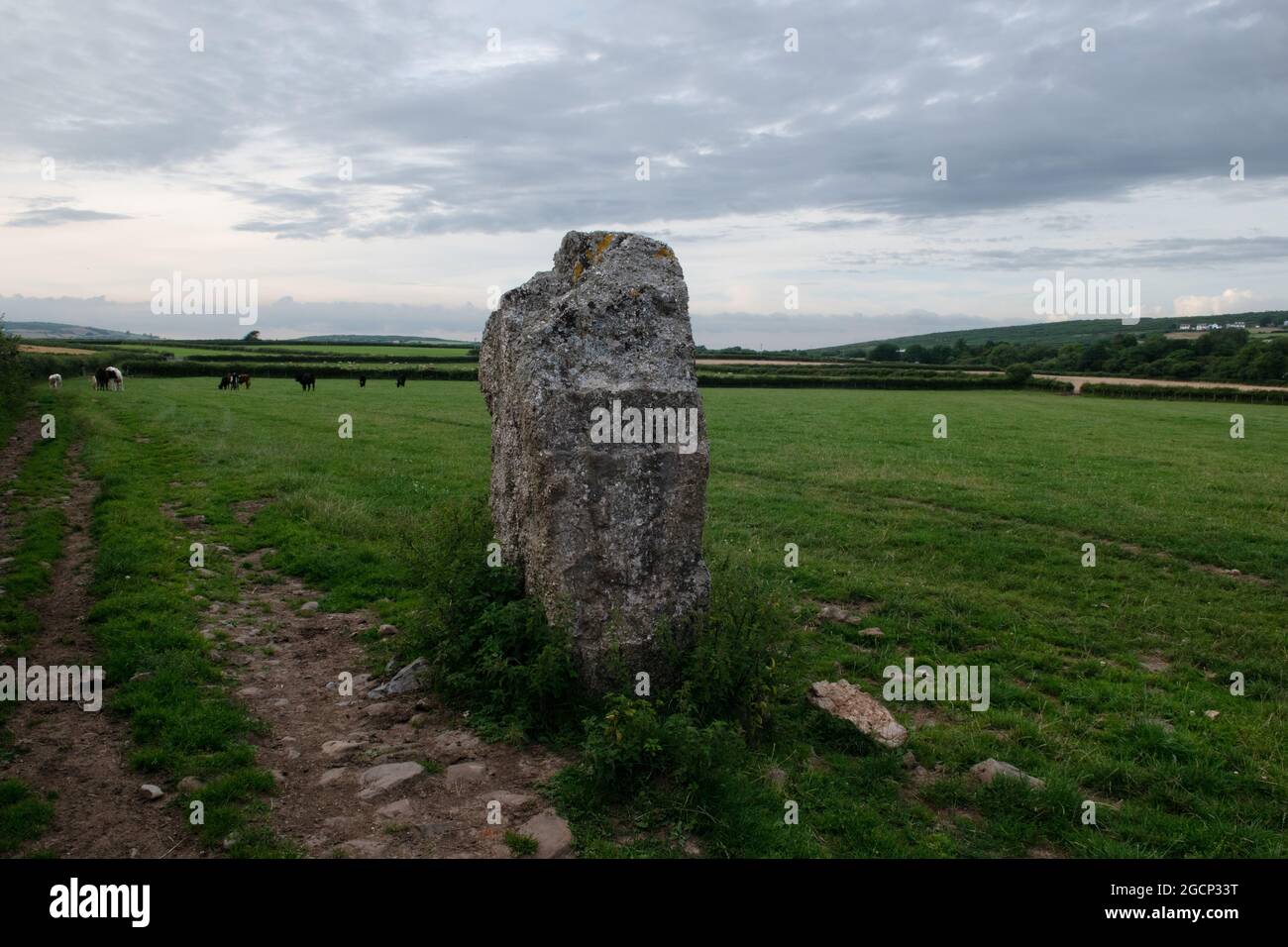 Knelston standing stone hi-res stock photography and images - Alamy