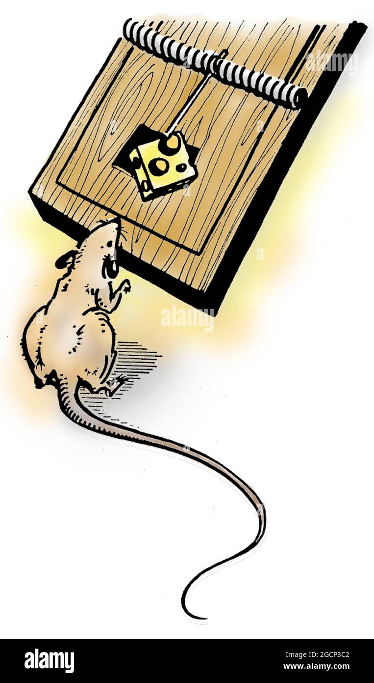 Better mouse trap hi-res stock photography and images - Alamy