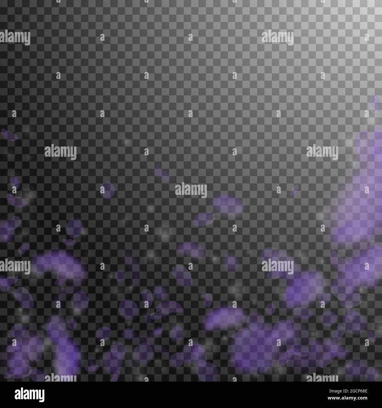 Violet flower petals falling down. Exceptional romantic flowers falling ...