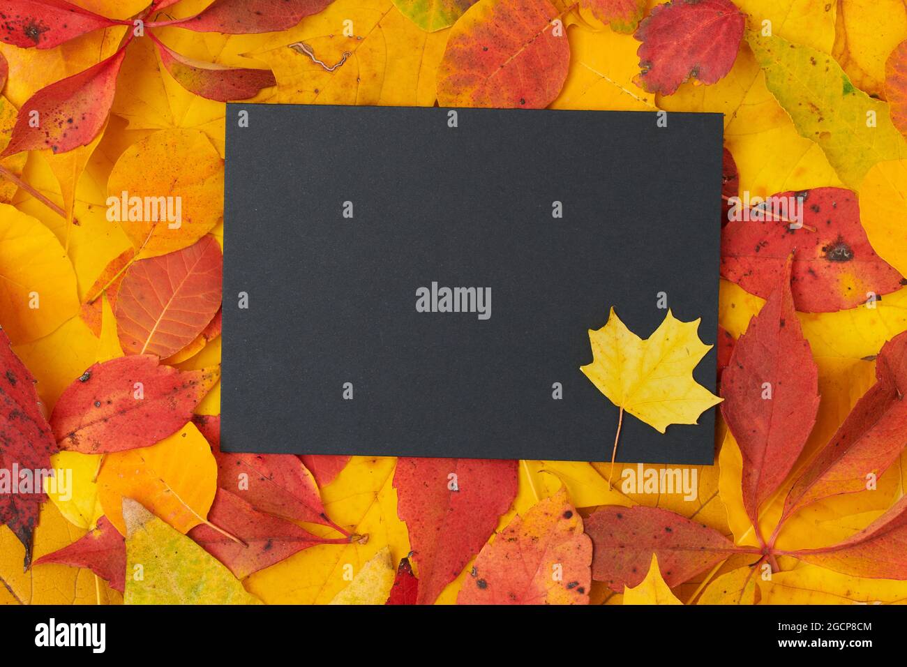 Introvert day background hi-res stock photography and images - Alamy