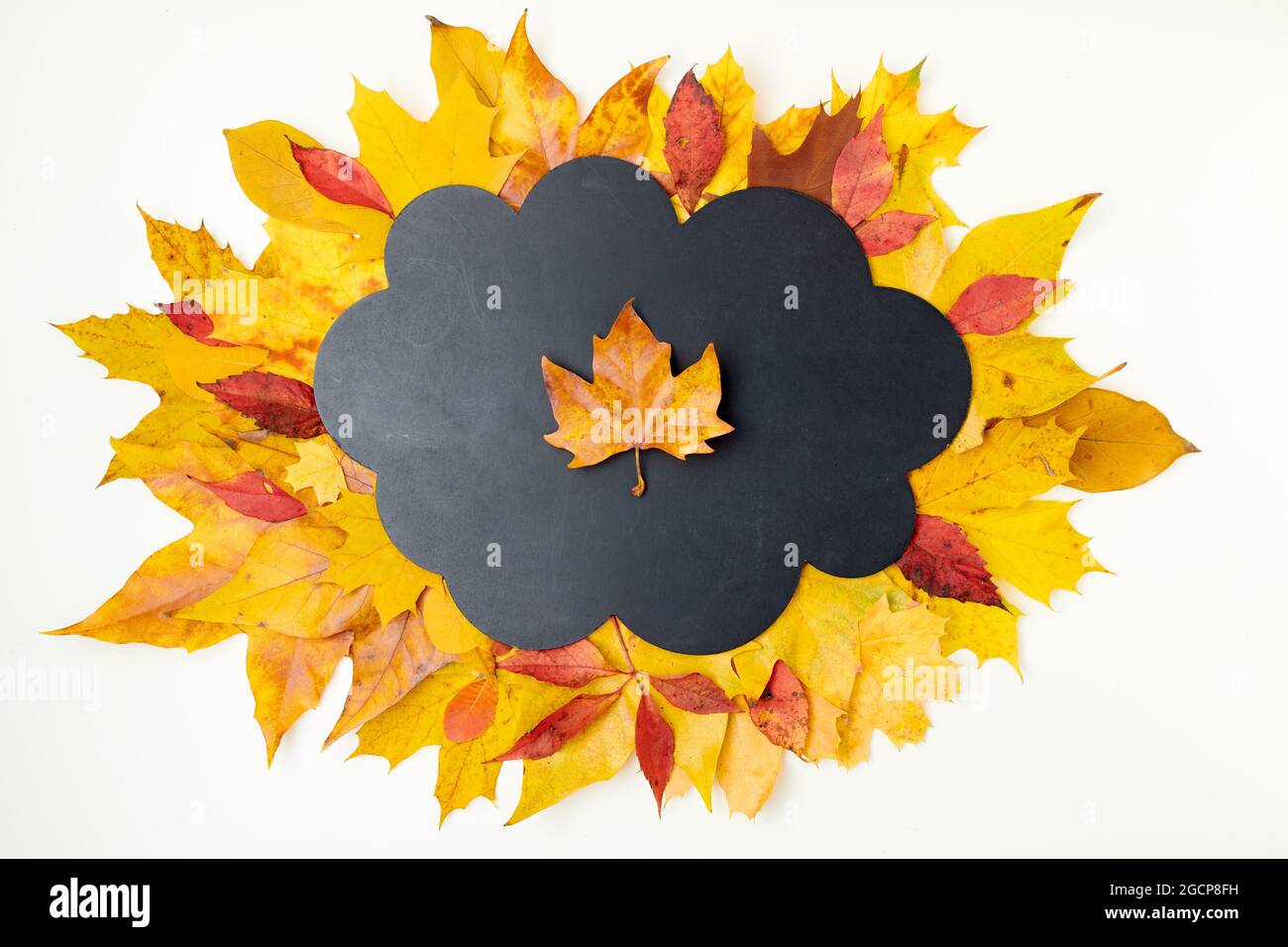Hello october. autumn flat lay with cloud shape blackboard and leaves ...