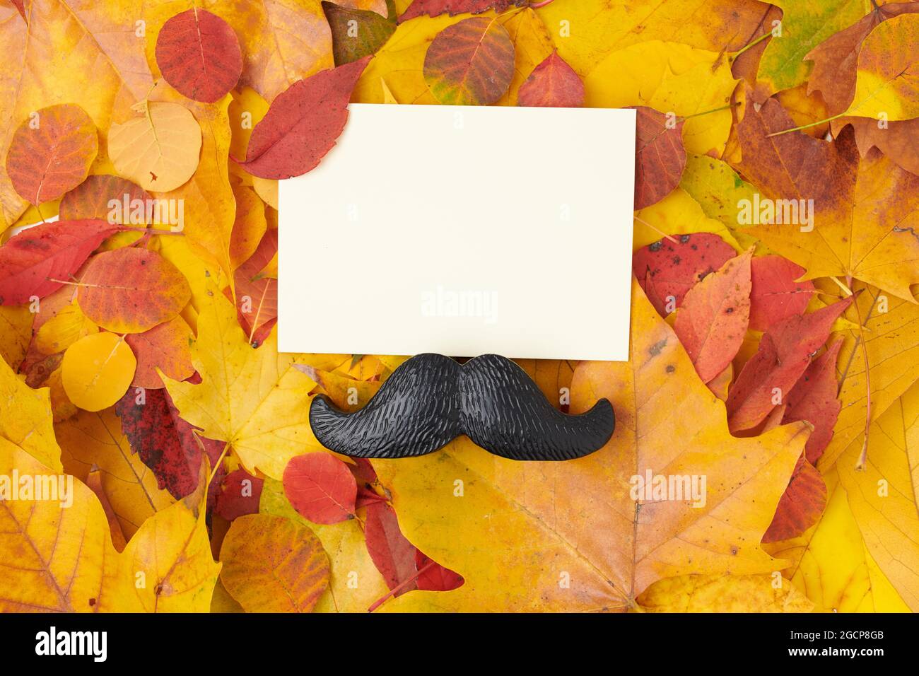 Leaf moustache hi-res stock photography and images - Alamy