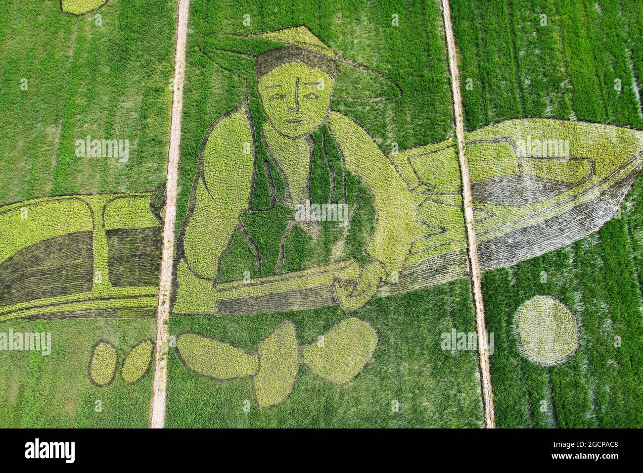 HANGZHOU, CHINA - AUGUST 10, 2021 - An aerial view shows a giant rice ...