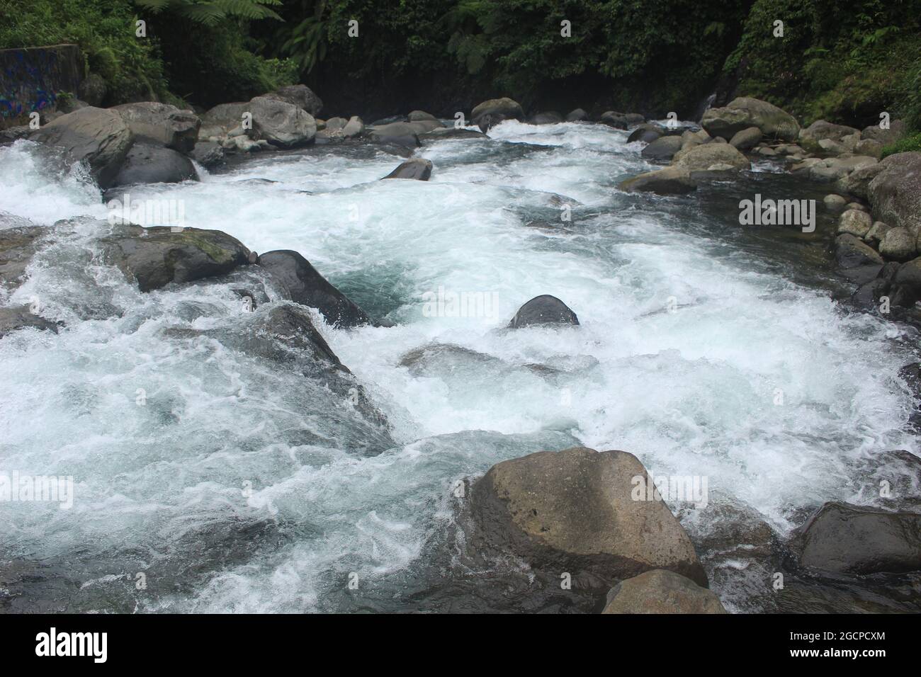 beautiful clear river flow in tropical forest Stock Photo - Alamy