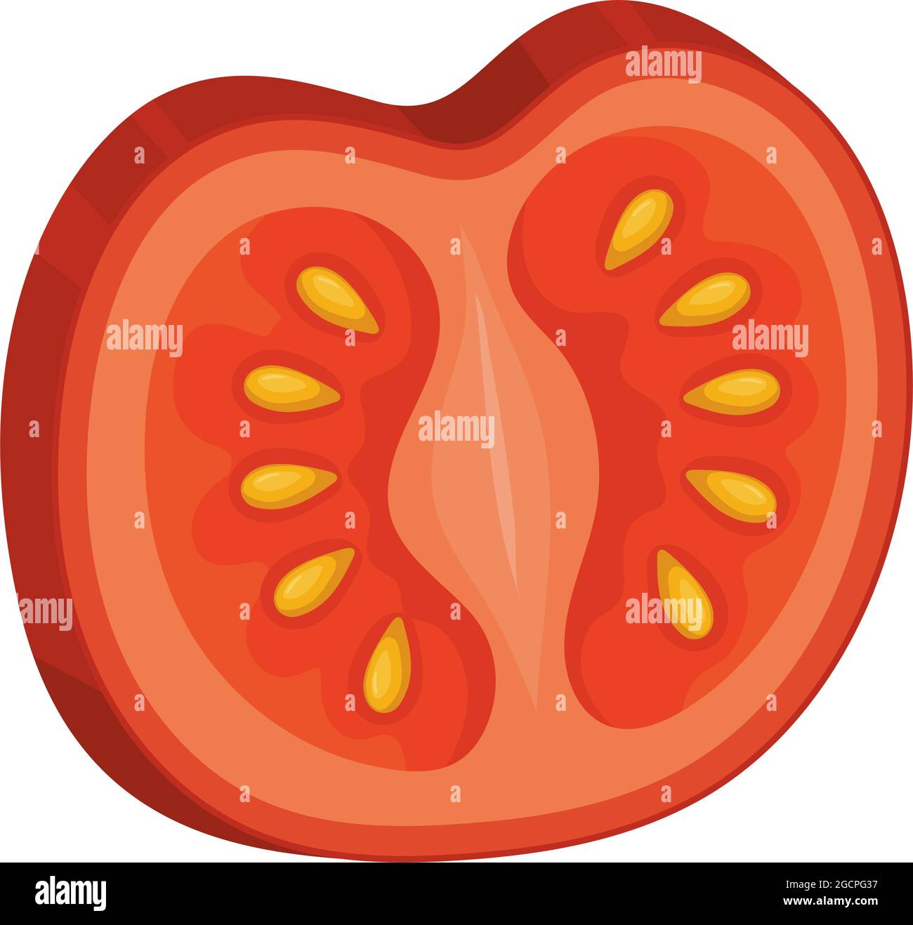 tomato slice illustration Stock Vector Image & Art - Alamy