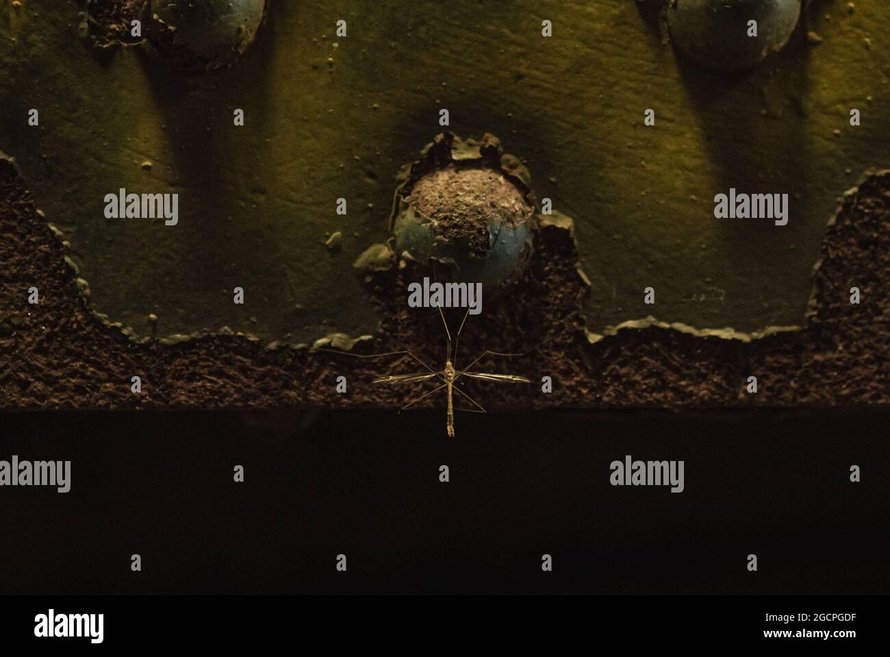 rust and skeleton Stock Photo - Alamy