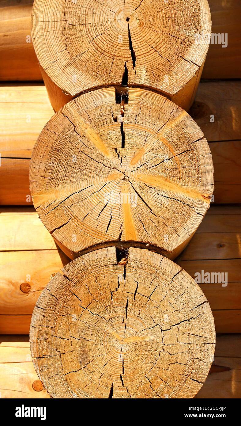 Detail of wooden buildings - hewn logs stacked vertically Stock Photo ...