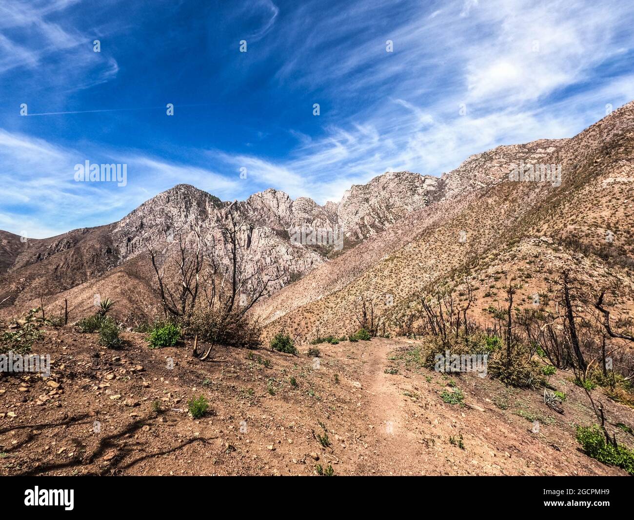 Sceneries along the Four Peaks Wilderness, Tonto National Forest ...