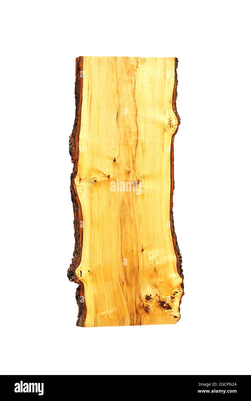 Wooden cut with bark and pattern formed on the surface Stock Photo - Alamy