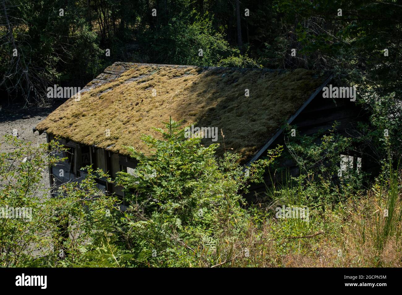 Old fisherman's shack at Hope Bay, North Pender Island, British ...