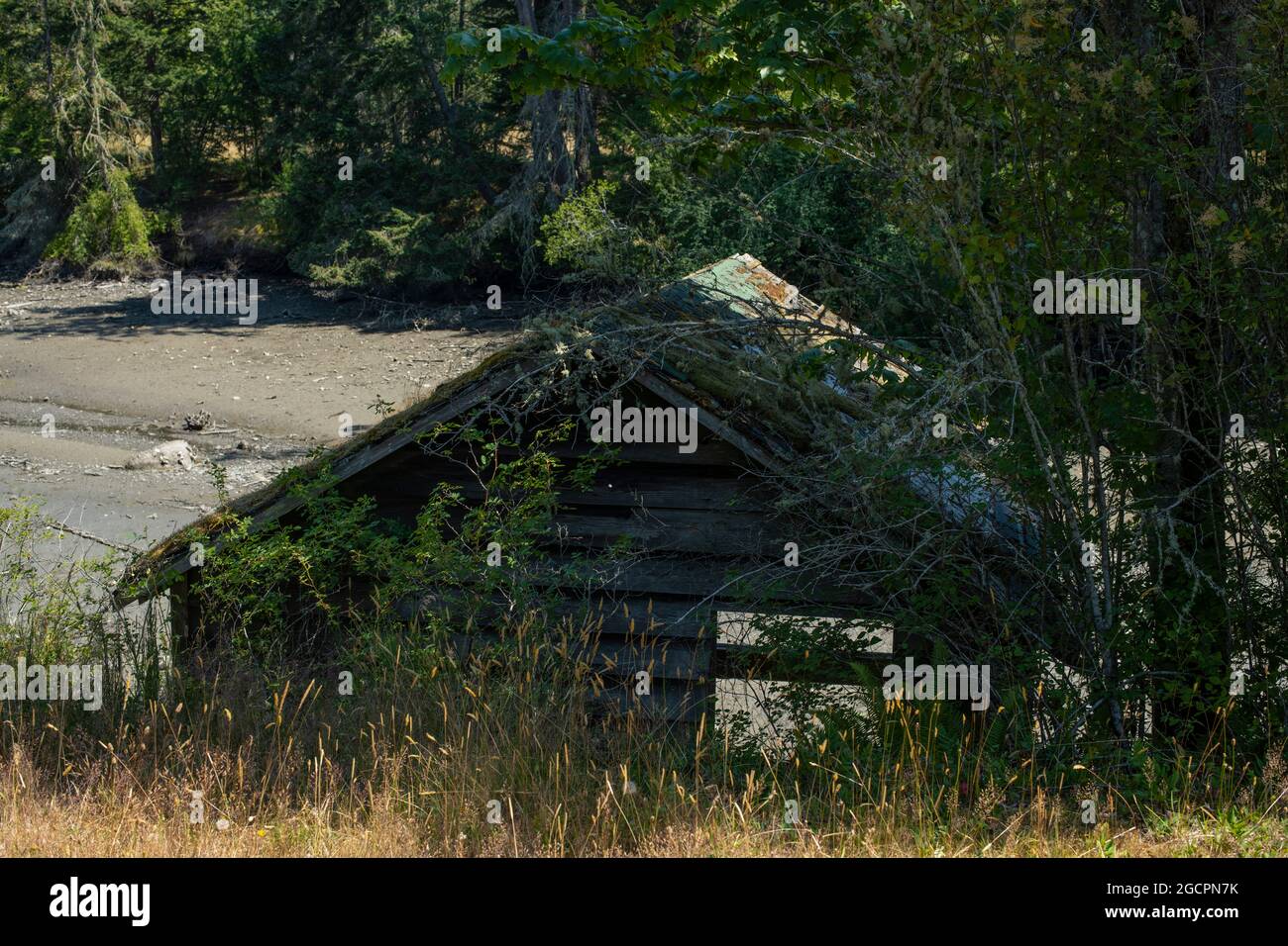 Old fisherman's shack at Hope Bay, North Pender Island, British ...