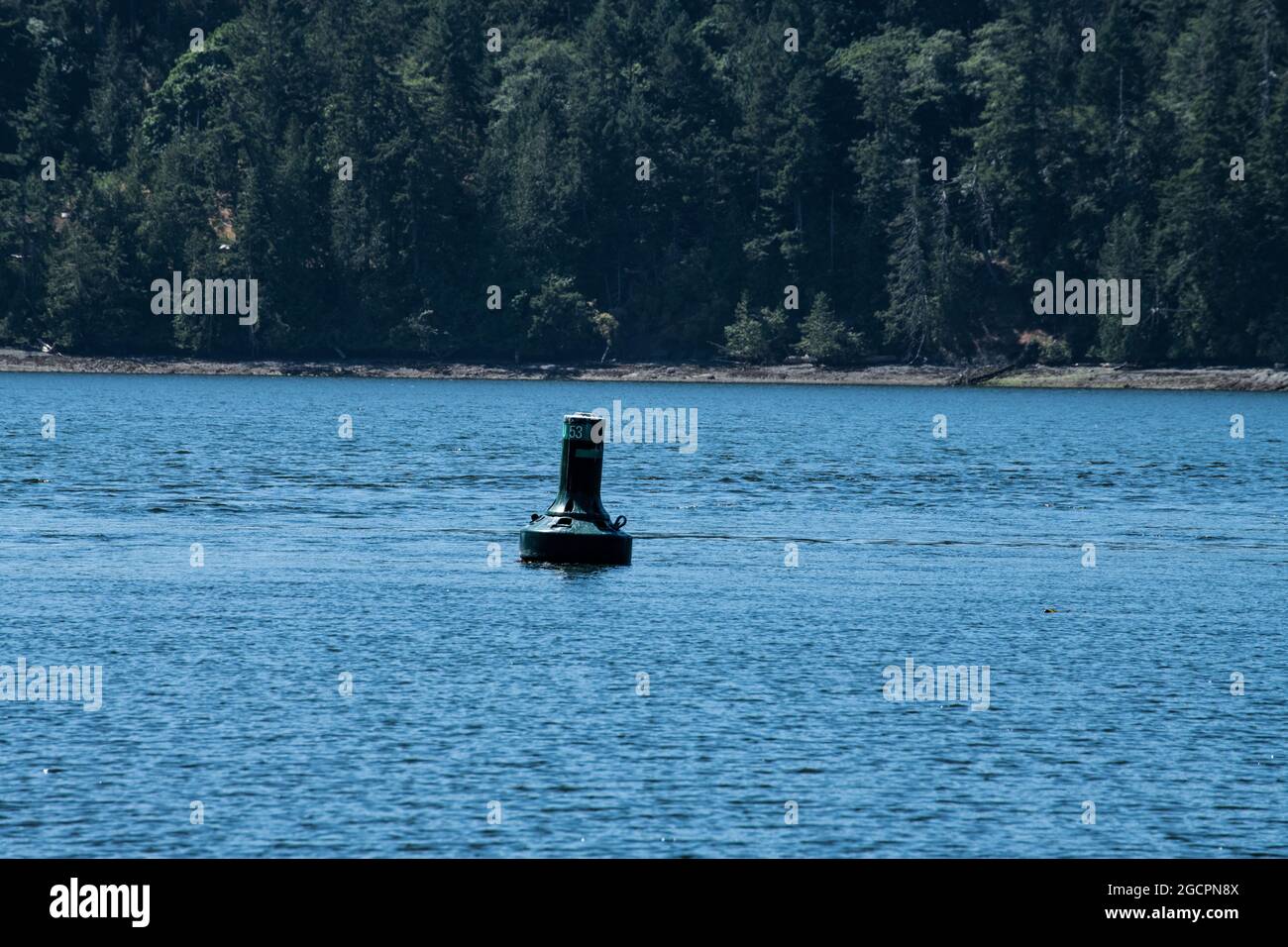 Port navigation buoy in Active Pass, British Columbia, Canada Stock ...