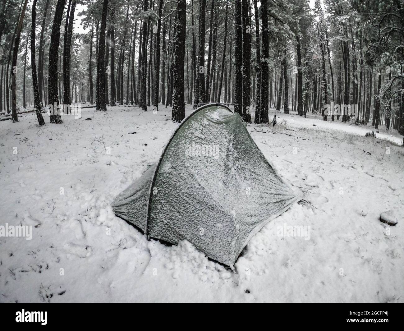 Mogollon rim snow hi-res stock photography and images - Alamy