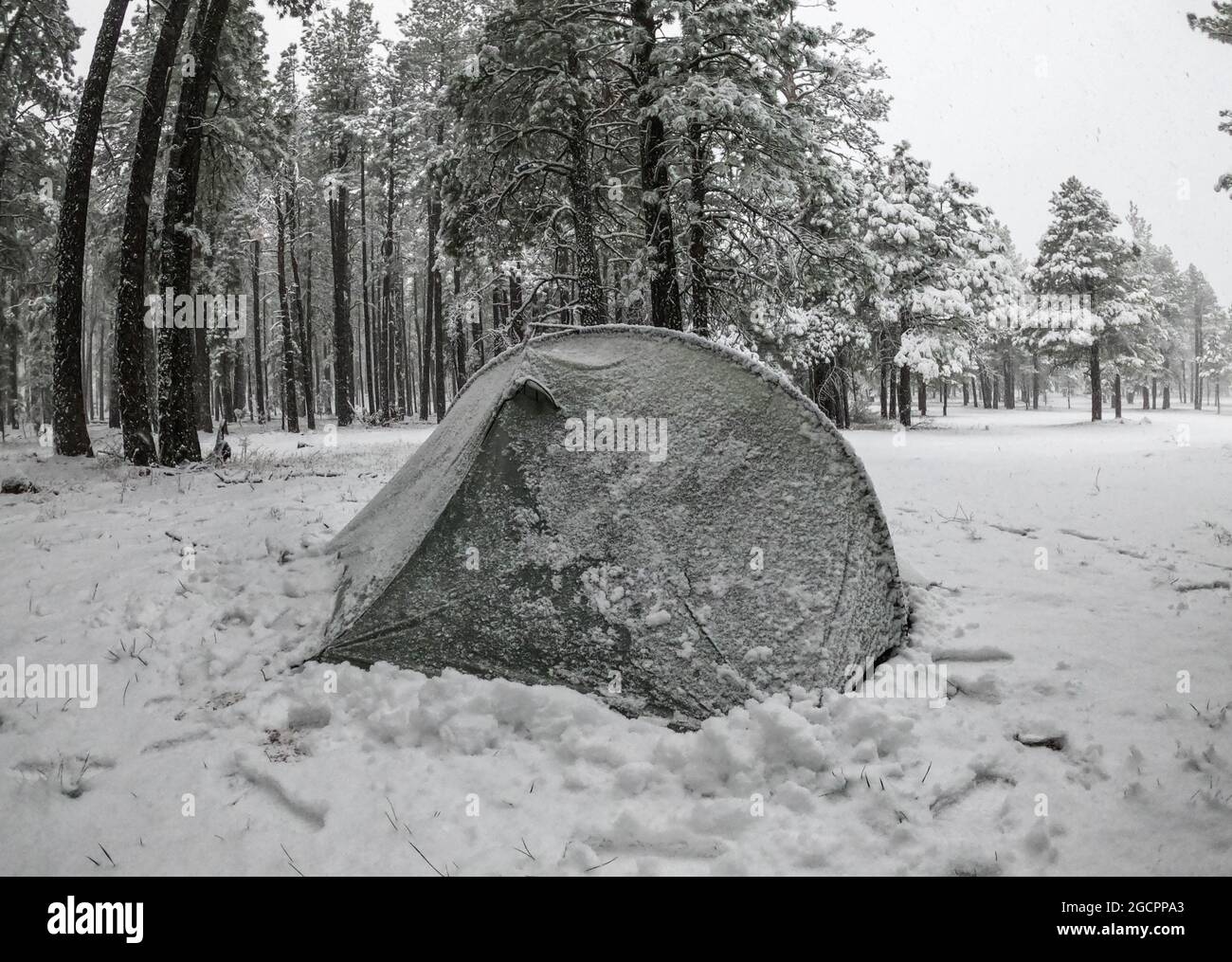 Mogollon rim snow hi-res stock photography and images - Alamy