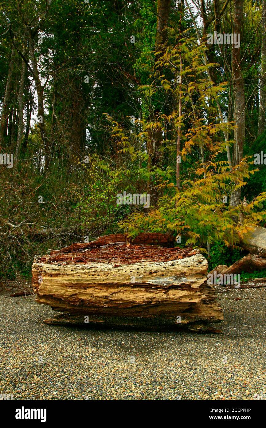 a exterior picture of an Pacific Northwest sound shoreline with a old ...