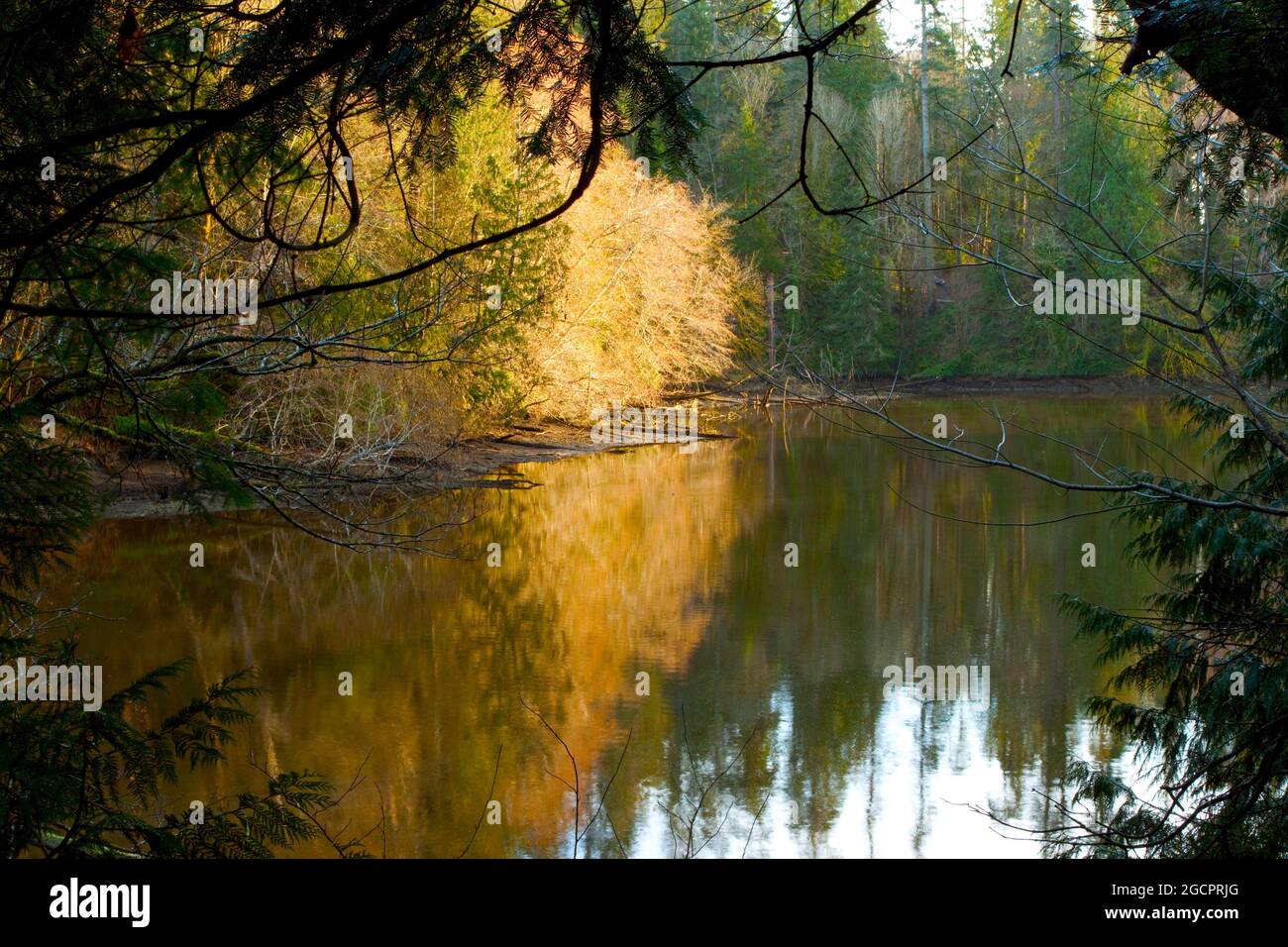 a exterior picture of an Pacific Northwest inlet Stock Photo - Alamy