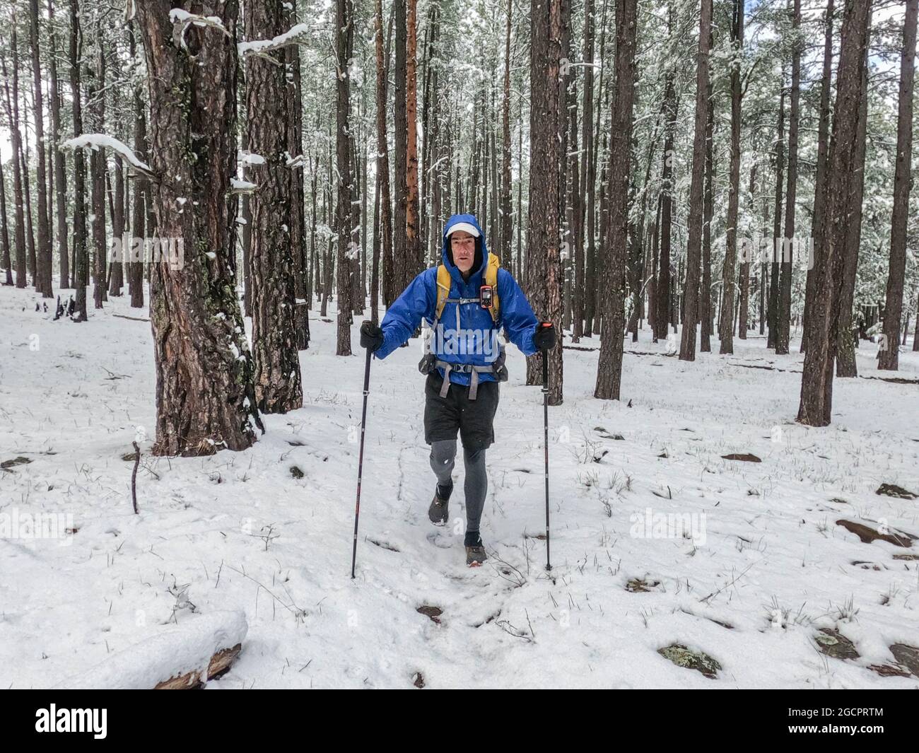 Mogollon rim snow hi-res stock photography and images - Alamy