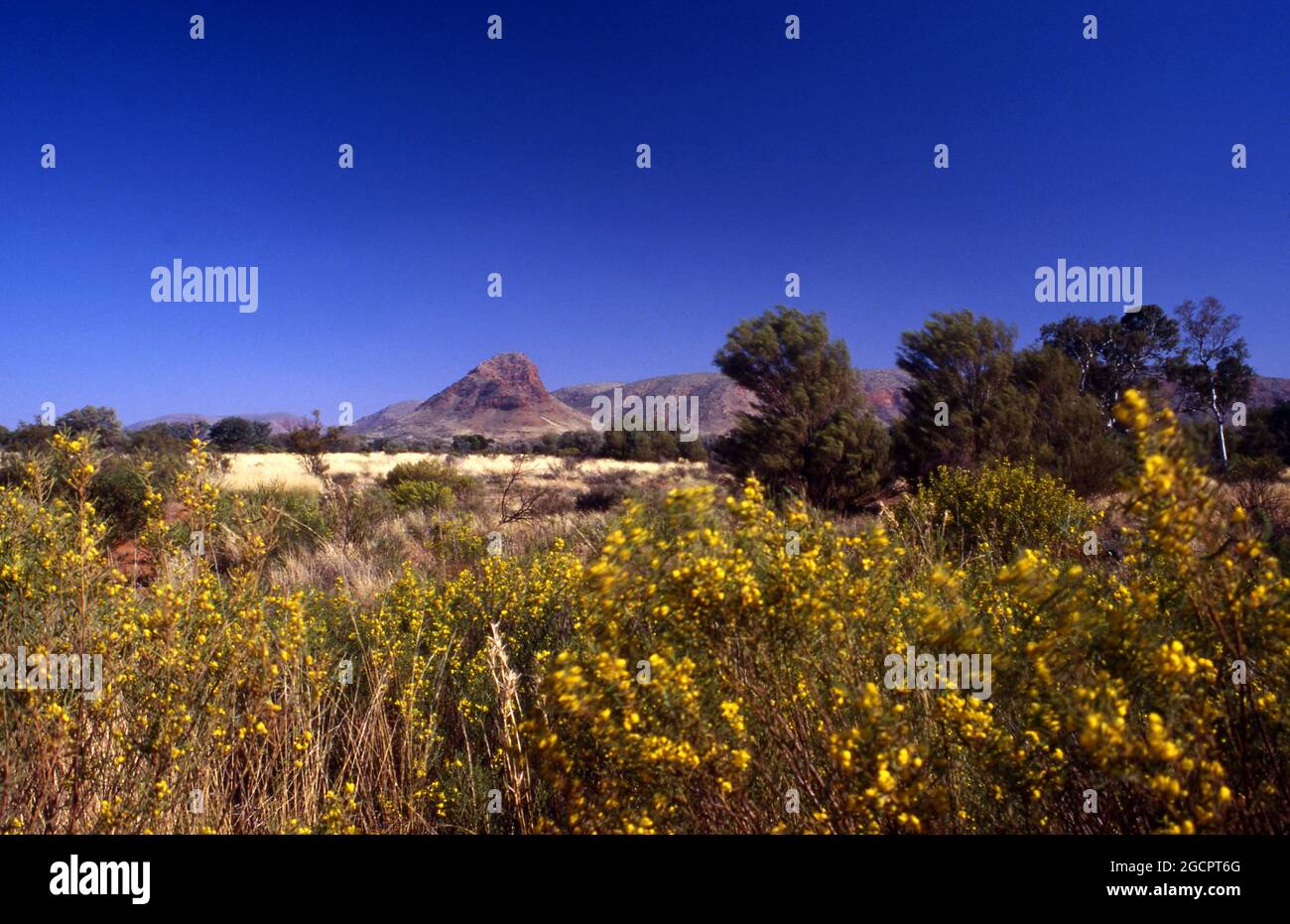 Great victoria desert western australia hi-res stock photography and ...