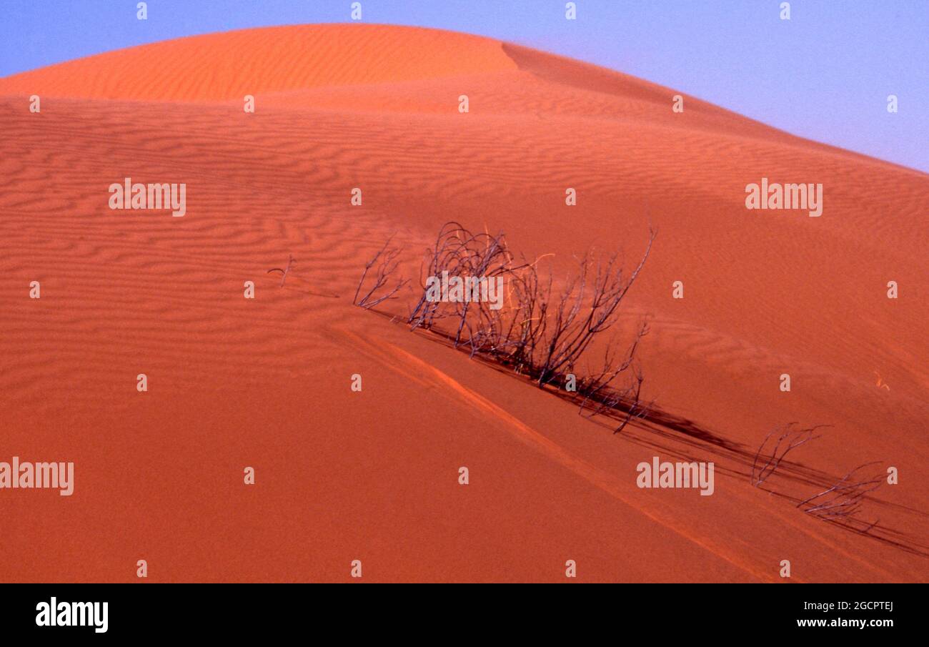 Strzelecki dune fields hi-res stock photography and images - Alamy