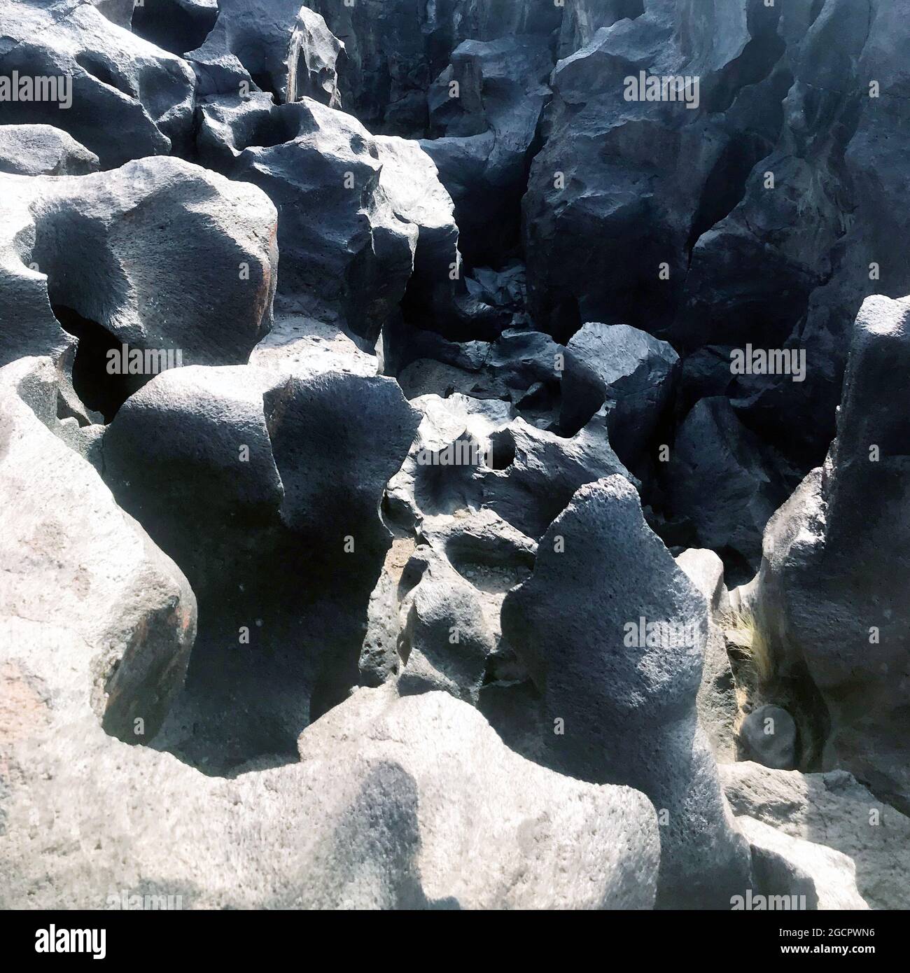 Fossil rocks hi-res stock photography and images - Alamy