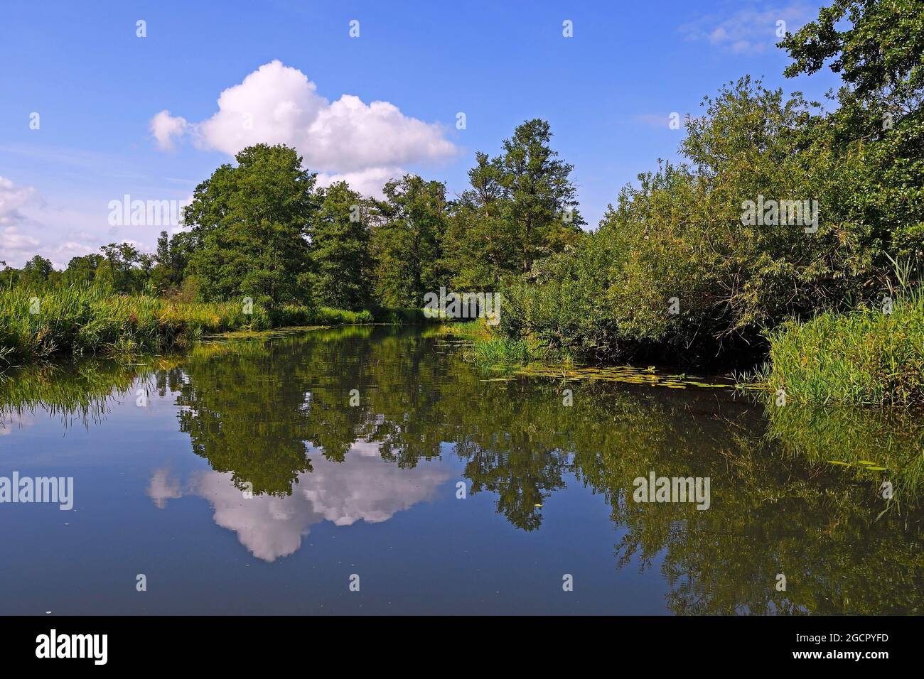 Idyllic rivers and arms of the river Spree, Spreewald near Schlepzig ...