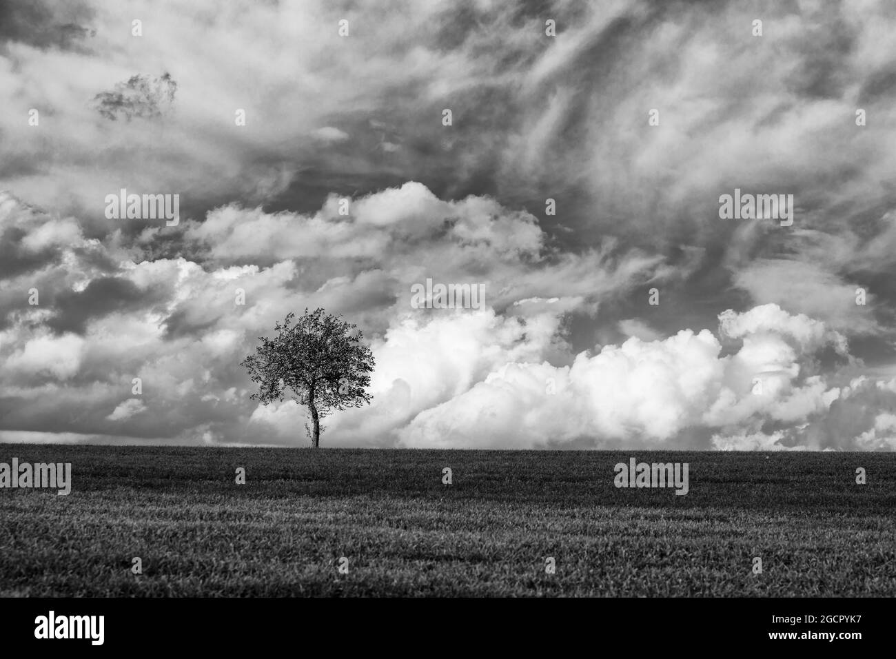 Atmospheric dramatic Black and White Stock Photos & Images - Alamy