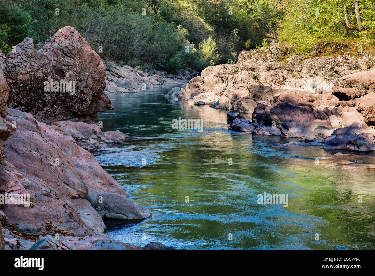 Plant in between the rocks hi-res stock photography and images - Alamy