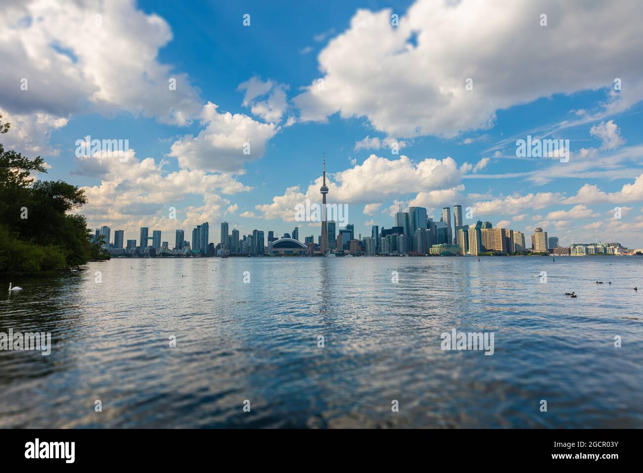 The skyline of Toronto, a view from the lake side - Toronto, Ontario ...