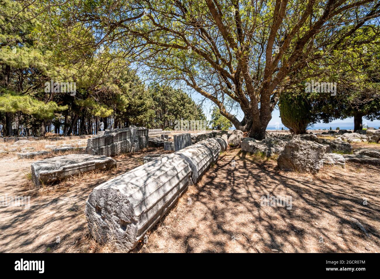 Overturned Roman columns under a tree, ruins of the Roman healing ...