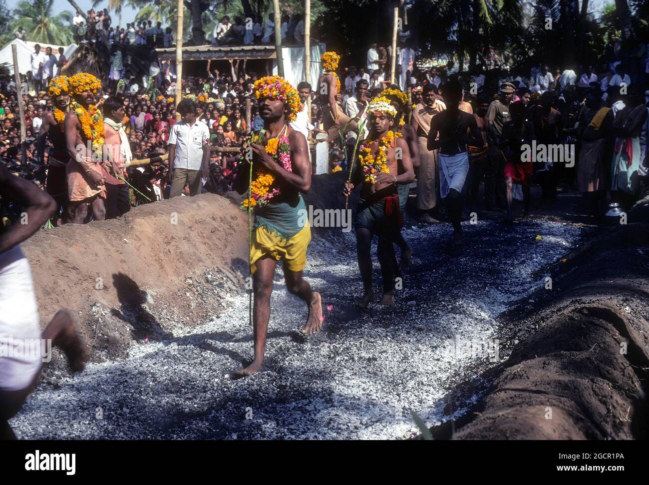 Fire walking festival at Masaniamman temple in Anaimalai, Tamil Nadu ...
