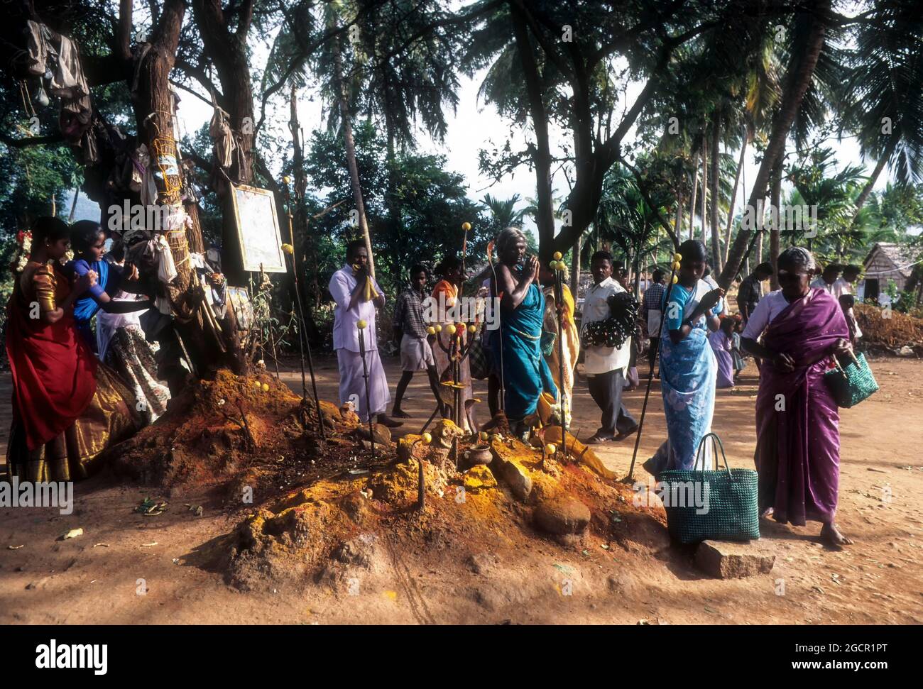 Women worshipping snake, Putru or white ant hill at Vana Badra Kali ...