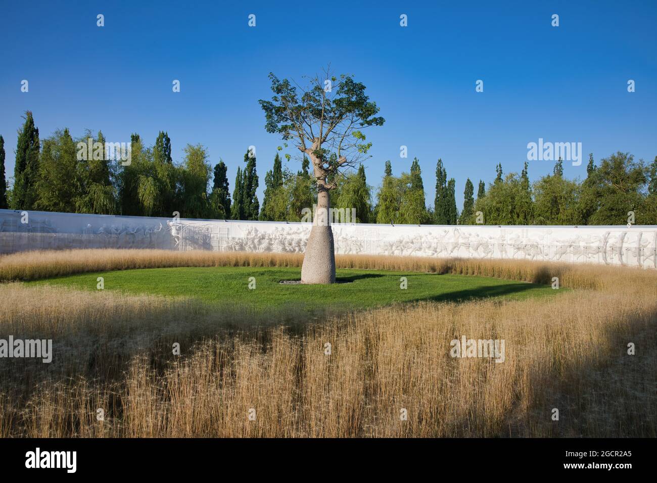 Russian nature nature hi-res stock photography and images - Alamy