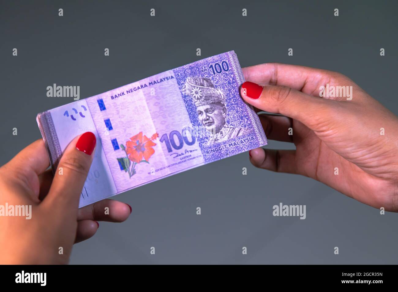 Female Hands with red nails counting 100 Ringgit banknotes. Ringgit the ...