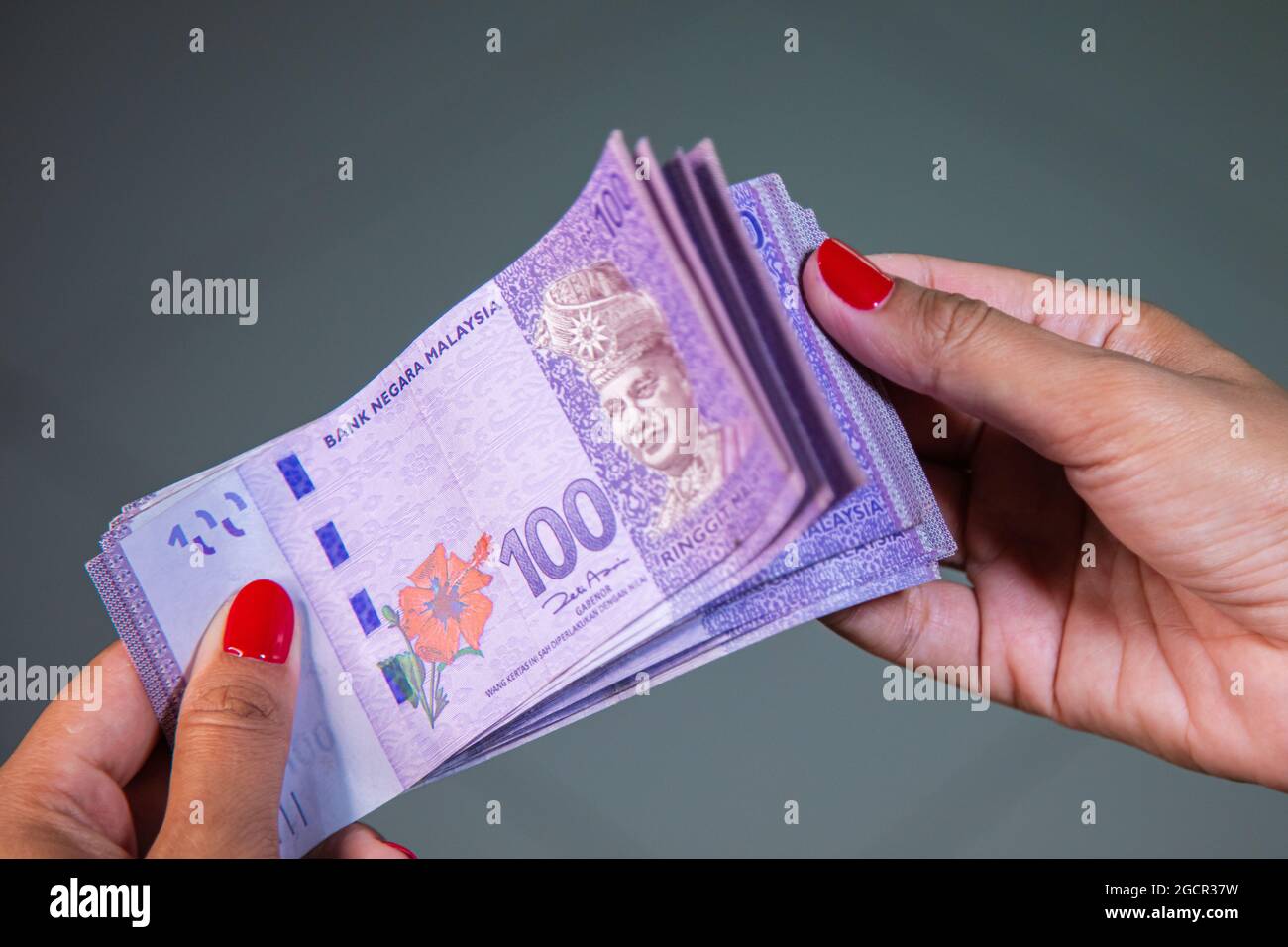 Female Hands with red nails counting 100 Ringgit banknotes. Ringgit the ...