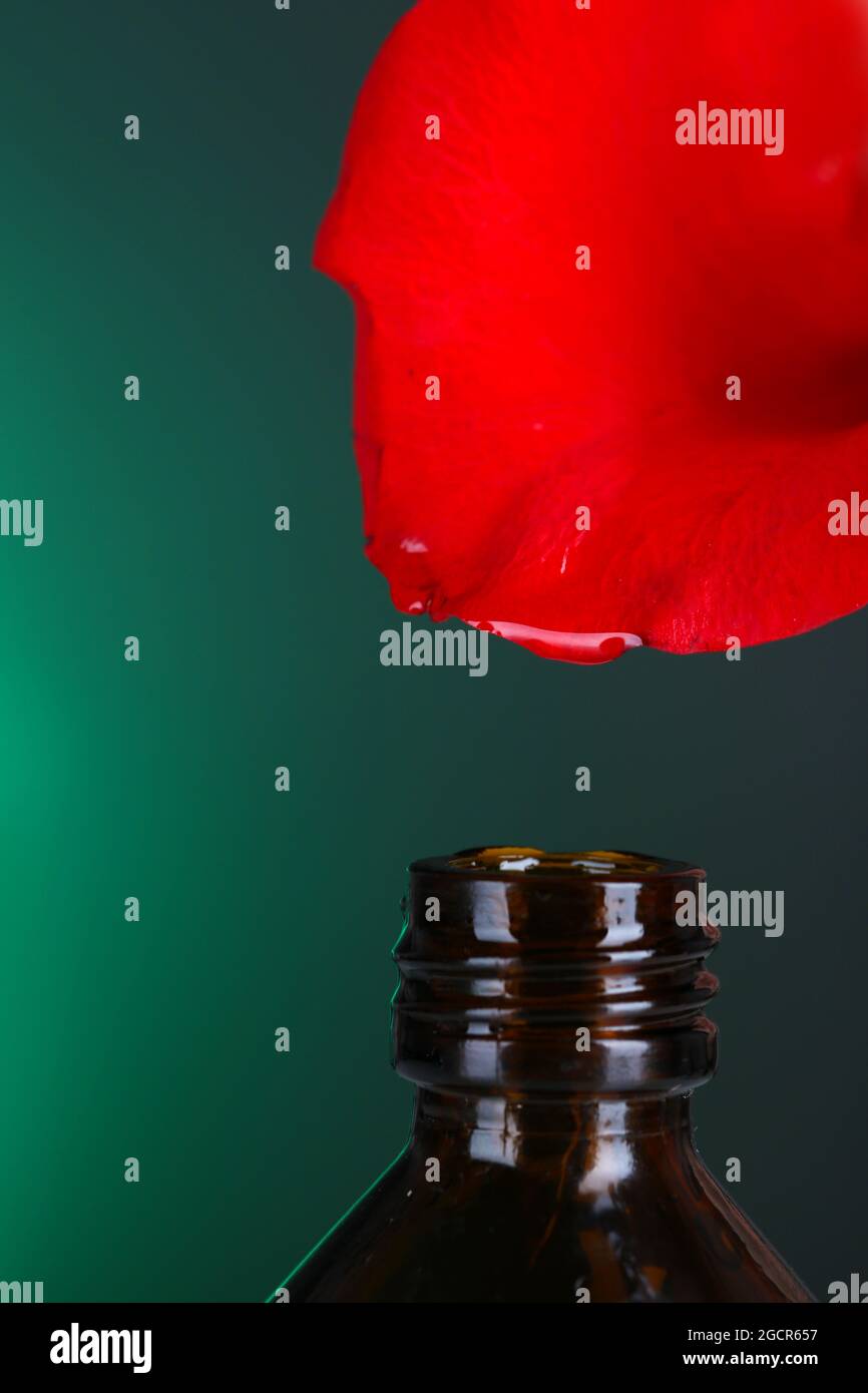 Drop falling from rose petal on green background Stock Photo - Alamy