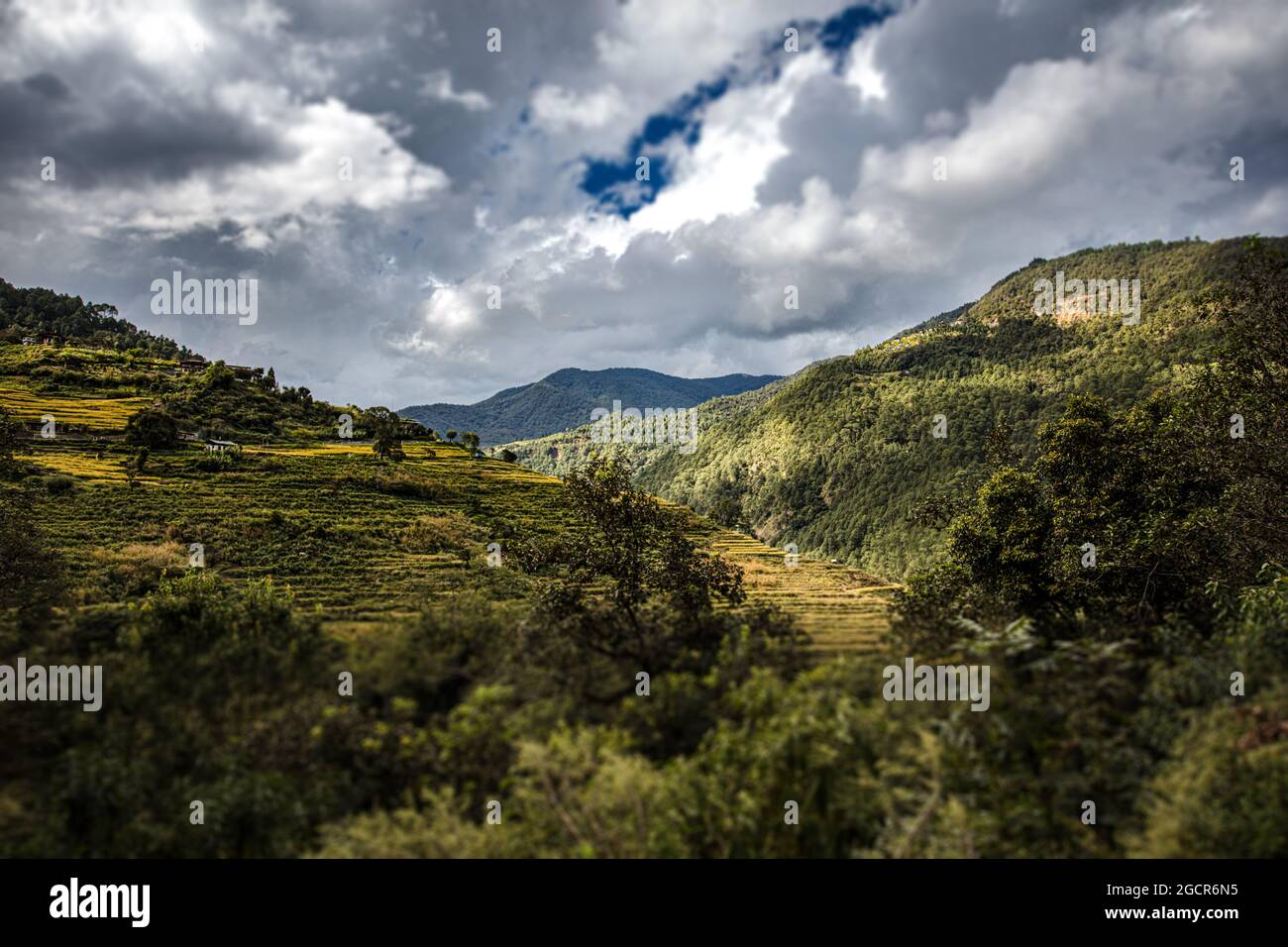 Scenic wide angle panorama view over the landscape of Bhutan, Himalaya ...