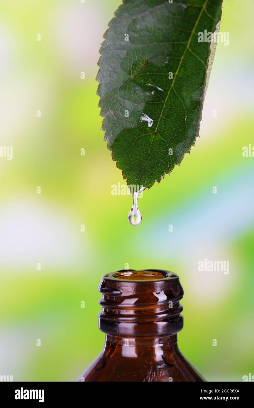 Drop falling from leaf on natural background Stock Photo - Alamy