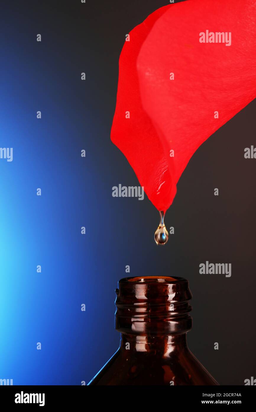 Drop falling from rose petal on blue background Stock Photo - Alamy