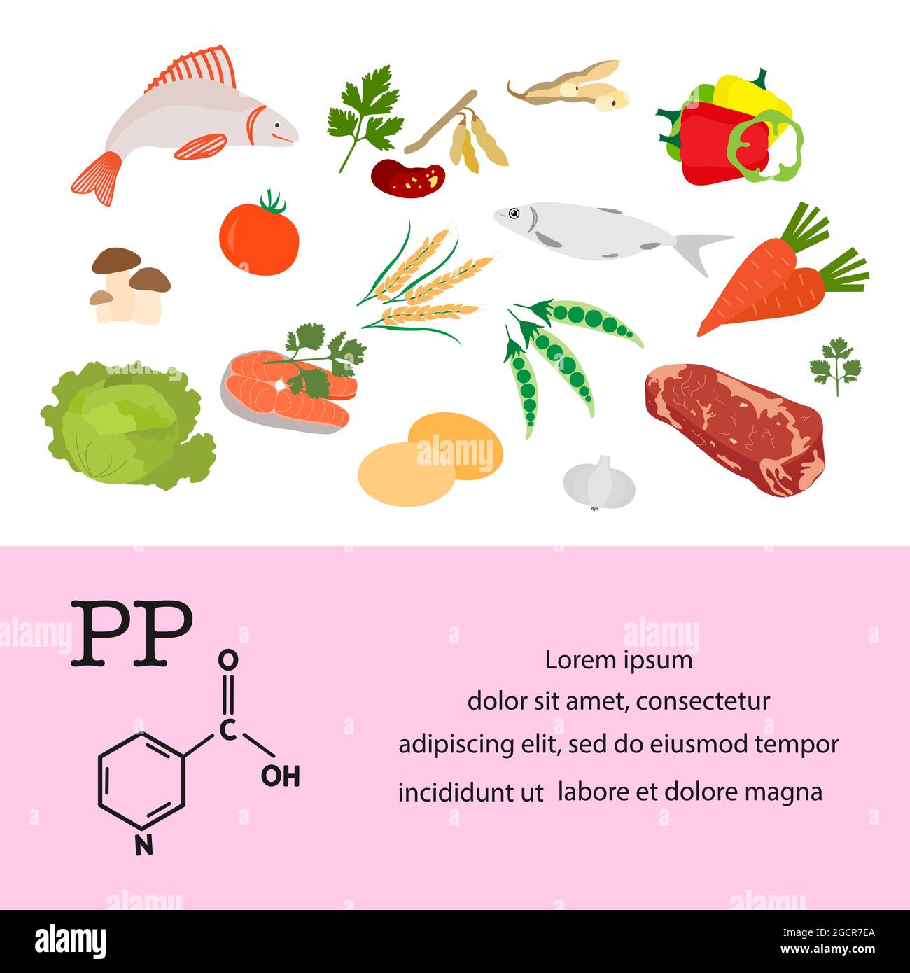 Enriched protein Stock Vector Images - Alamy